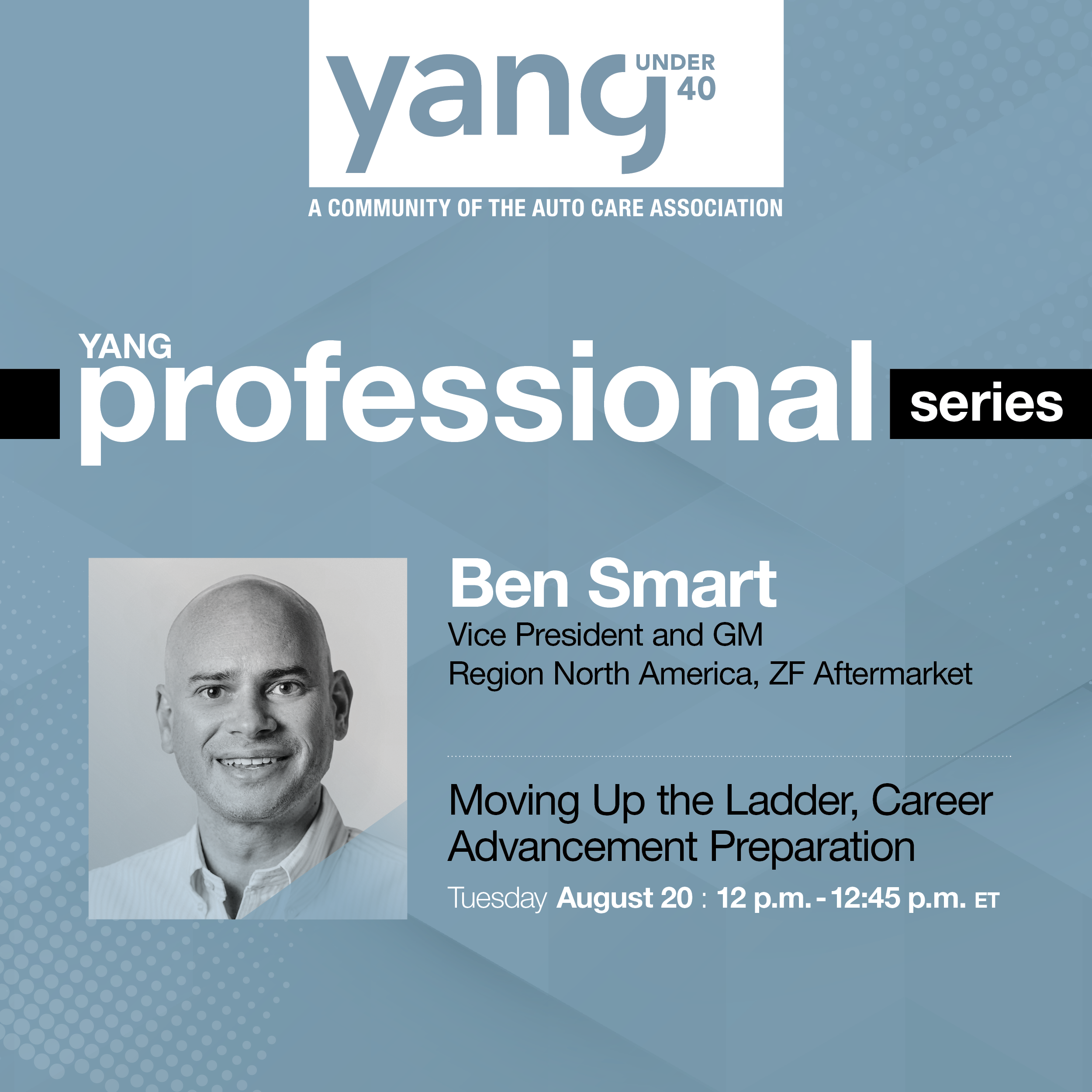 YANG Professional Series | Auto Care